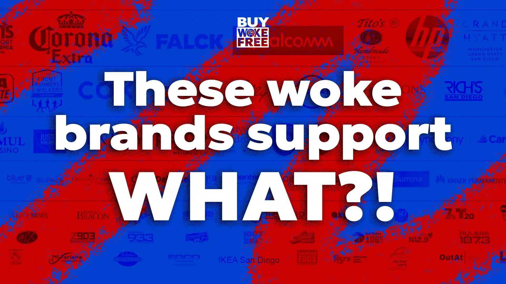 These Woke Brands Are Funding WHAT?! - Buy Woke-Free